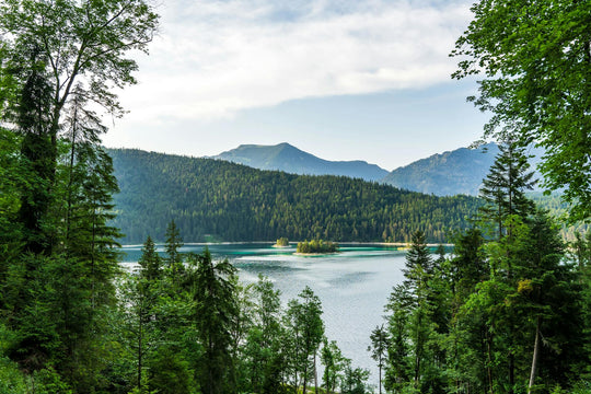 Loop Fill Tool with Pressure Gauge | Geothermal Products